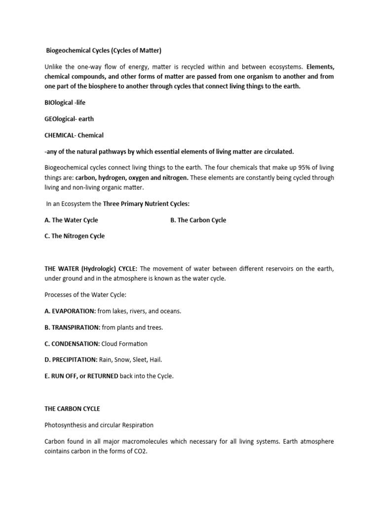 Environmental Report | PDF | Ecosystem | Carbon Cycle