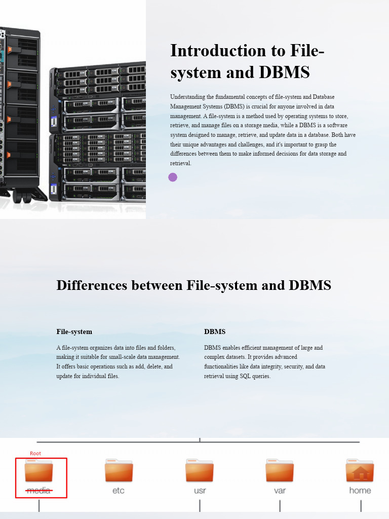 Introduction To File System and DBMS | PDF | Databases | File System