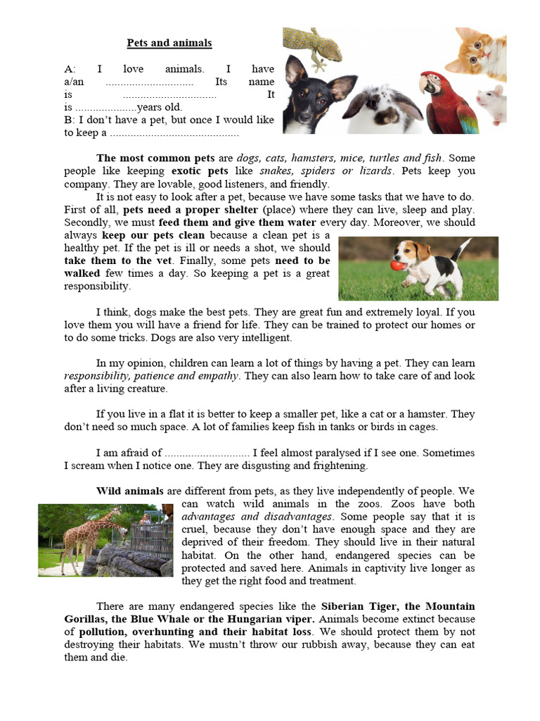 Pets and Animals | PDF | Pet | Zoo