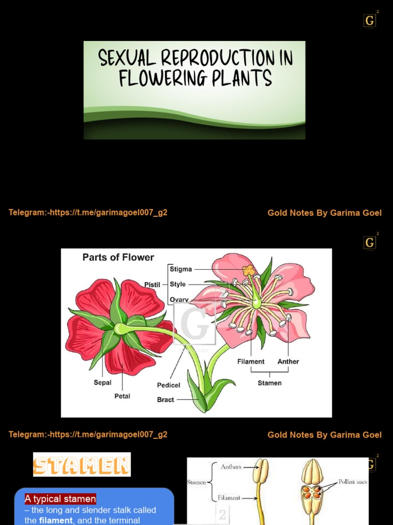 Gold Notes of Sexual Reproduction in Flowering Plant by Garima M | PDF ...