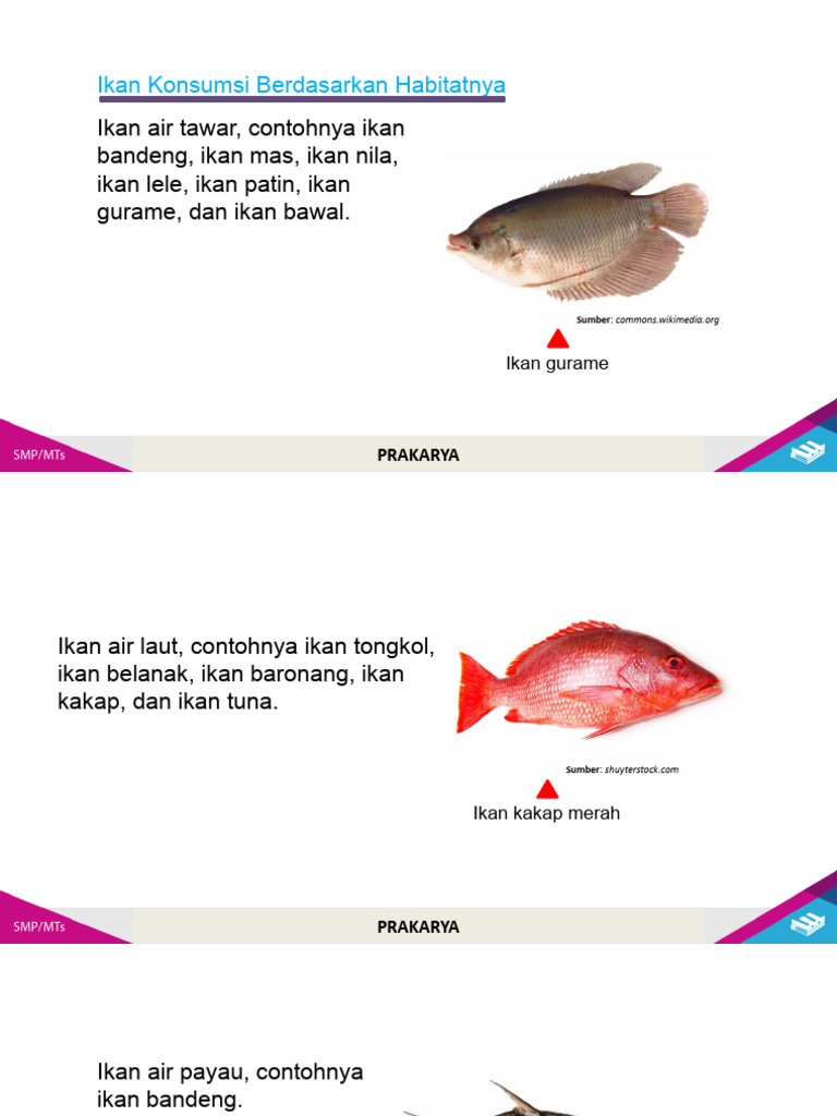 Jenis Ikan Berdasarkan Habitatnya | PDF