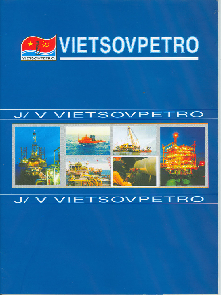 Profile VSP | PDF