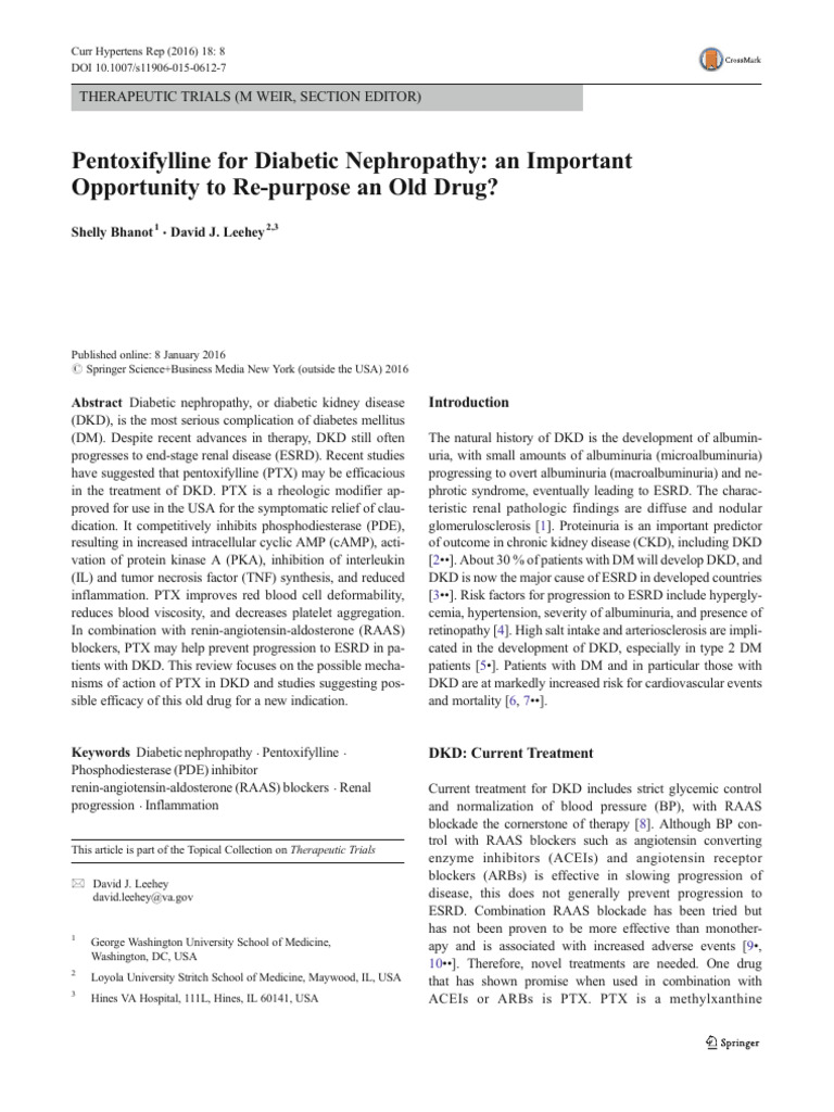 Pentoxi For Diabetic Nephropathy | PDF | Chronic Kidney Disease ...