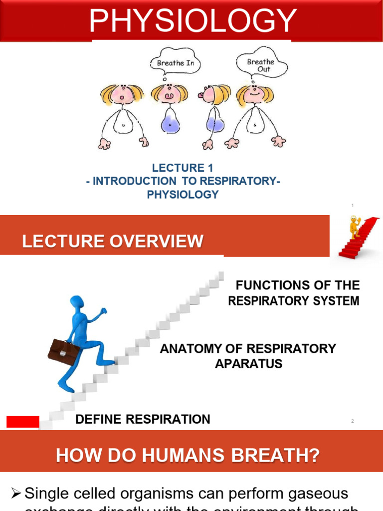 Lecture 1 Introduction To Respiratory Physiology Pdf Respiratory
