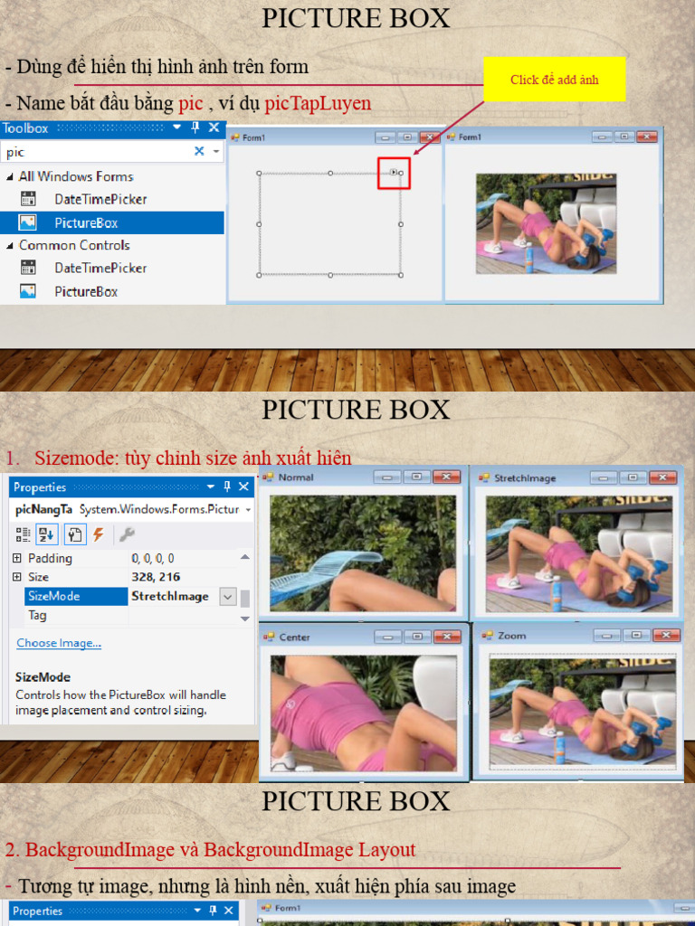 PictureBox, Date Time Picker | PDF