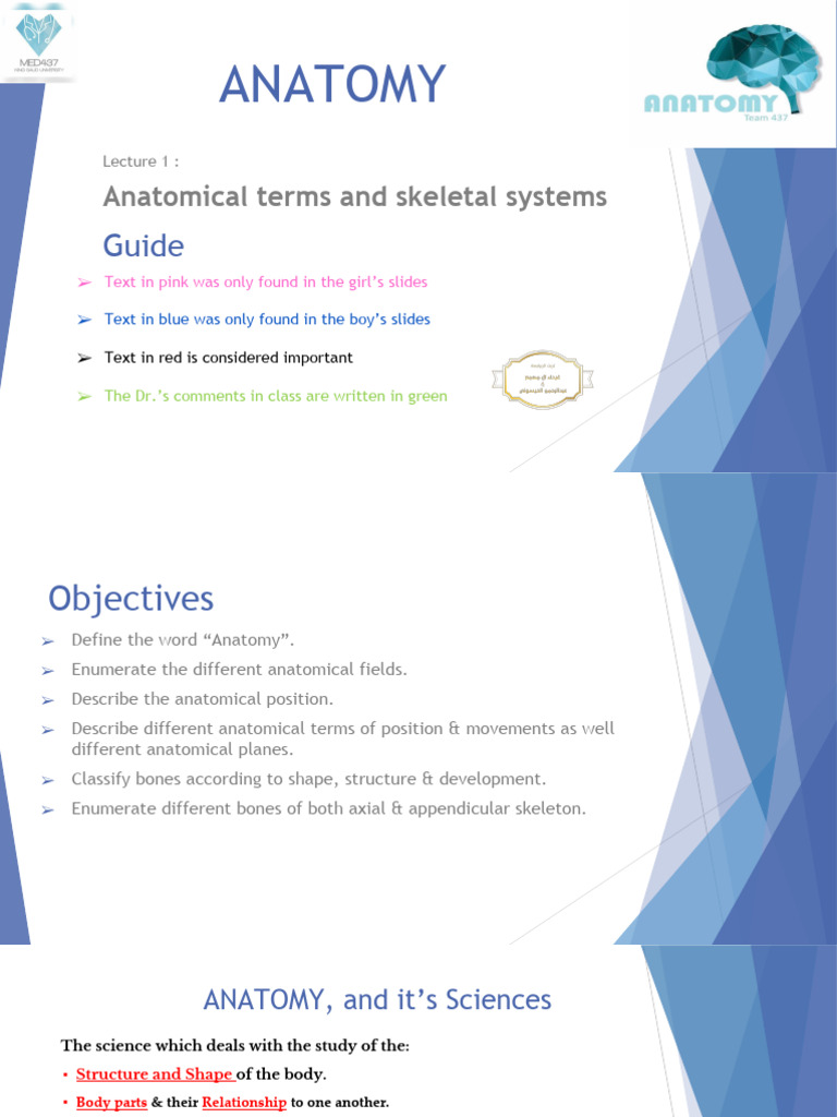 1 - Anatomy L1 | PDF | Anatomical Terms Of Motion | Vertebral Column