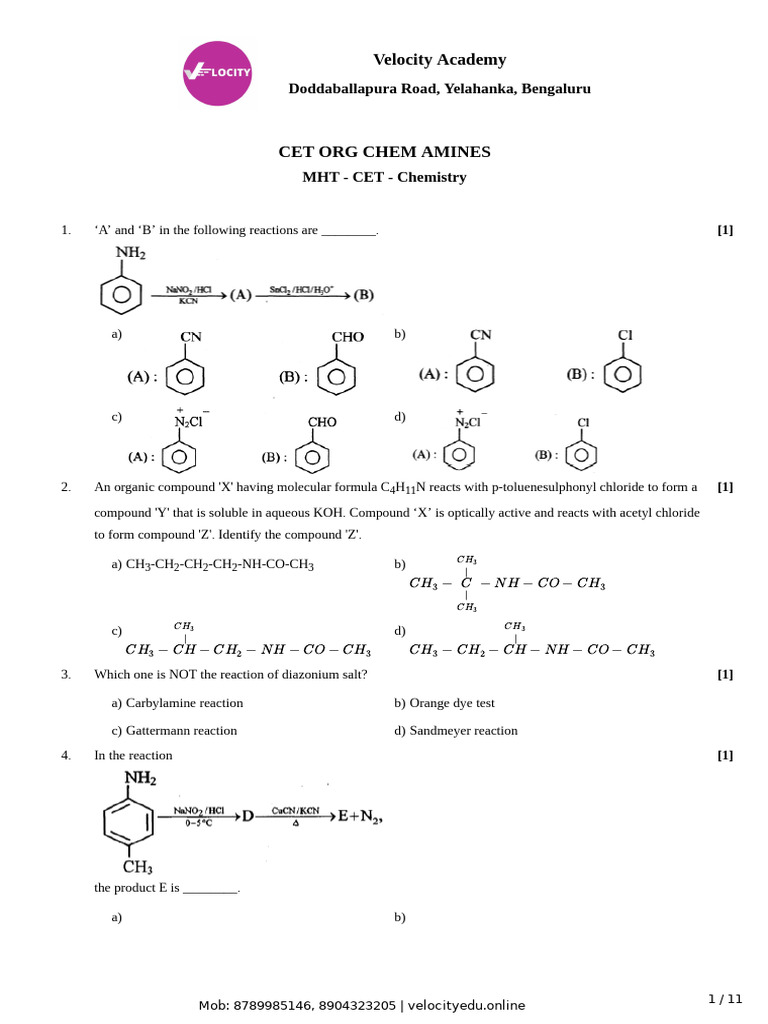 CET Org Chem Amines | PDF | Amine | Chemical Substances
