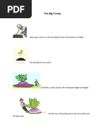The Enormous Turnip | PDF