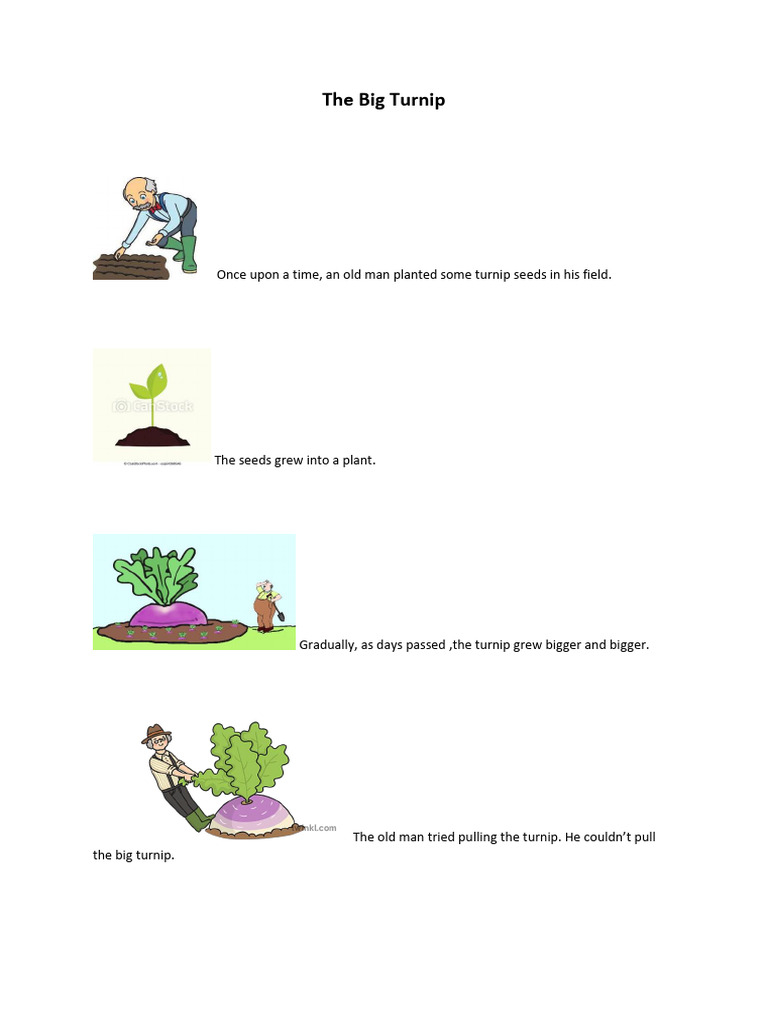 The Big Turnip Story | PDF