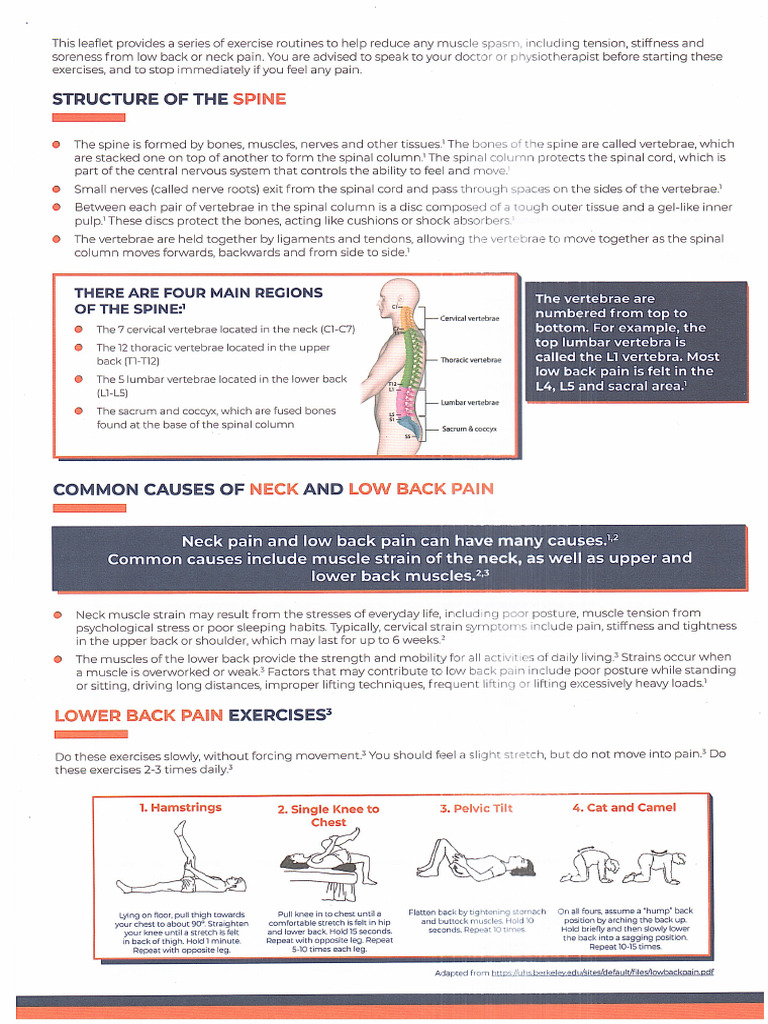 Neck and Back Exercises | PDF