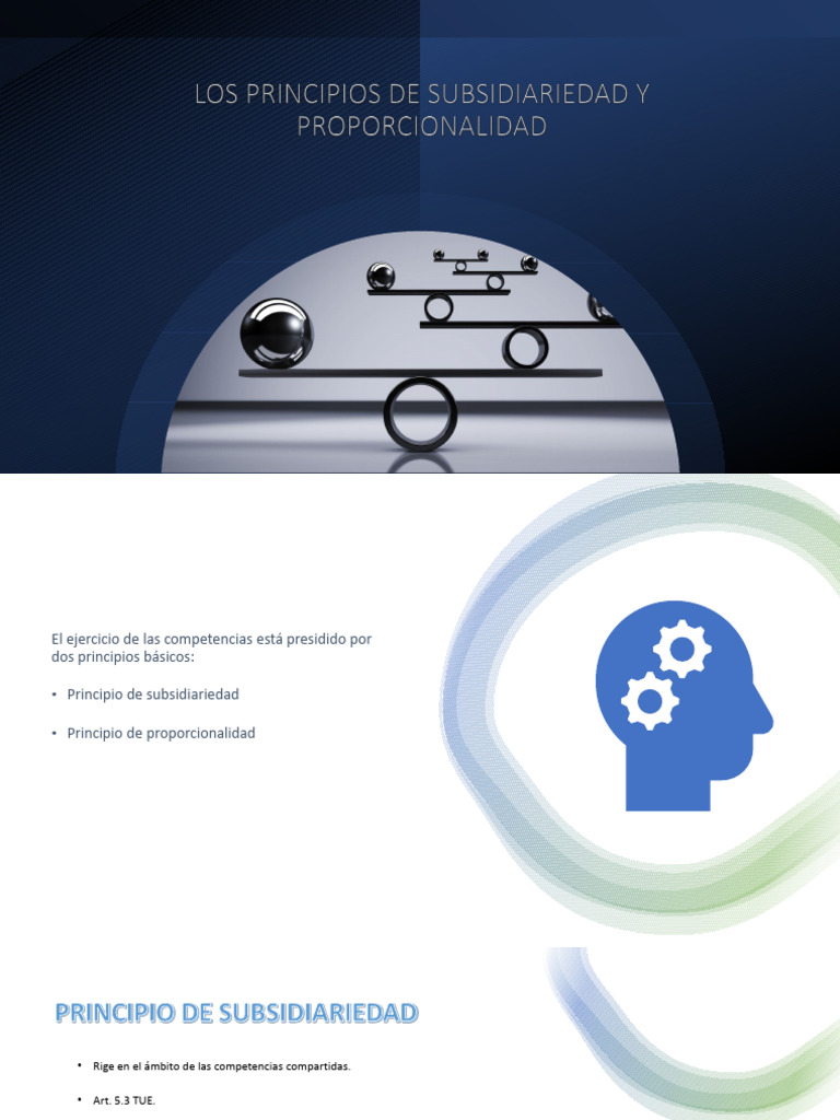 Subsidiariedad y Proporcionalidad | PDF | Ley de la Unión Europea ...