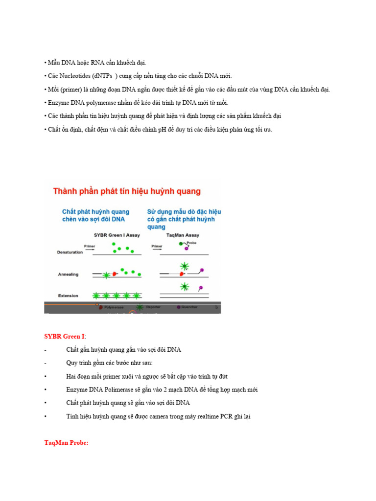 Bản thuyết trình SEMINAR SHPT | PDF