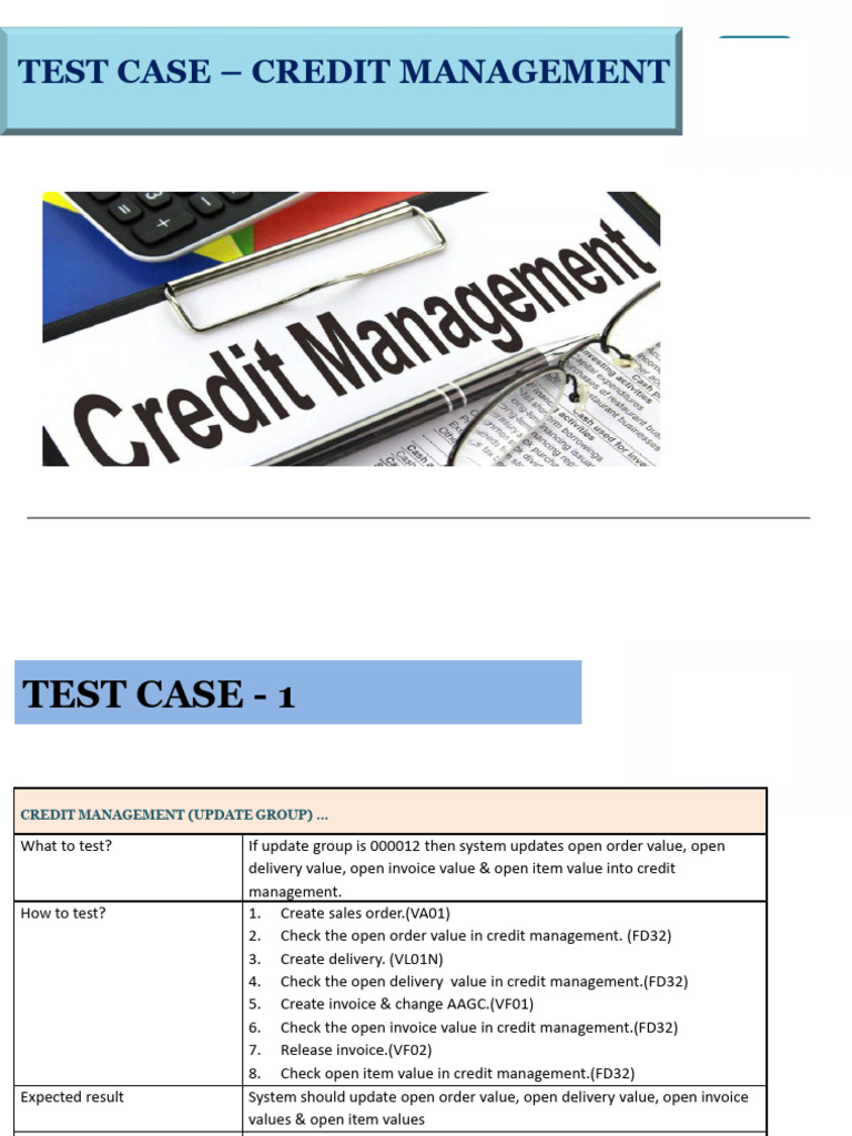 Credit Management Test Case Practice | PDF
