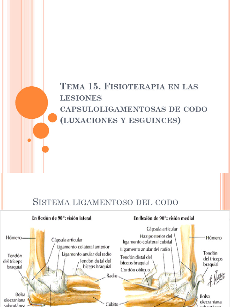 Tema 15. Fisioterapia en las lesiones capsuloligamentosas de codo (luxaciones y esguinces) | PDF ...