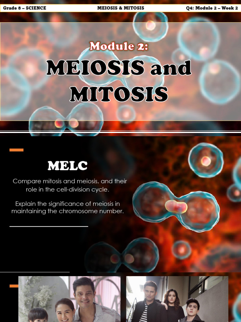 Module 2 Meiosis and Mitosis | PDF | Meiosis | Mitosis