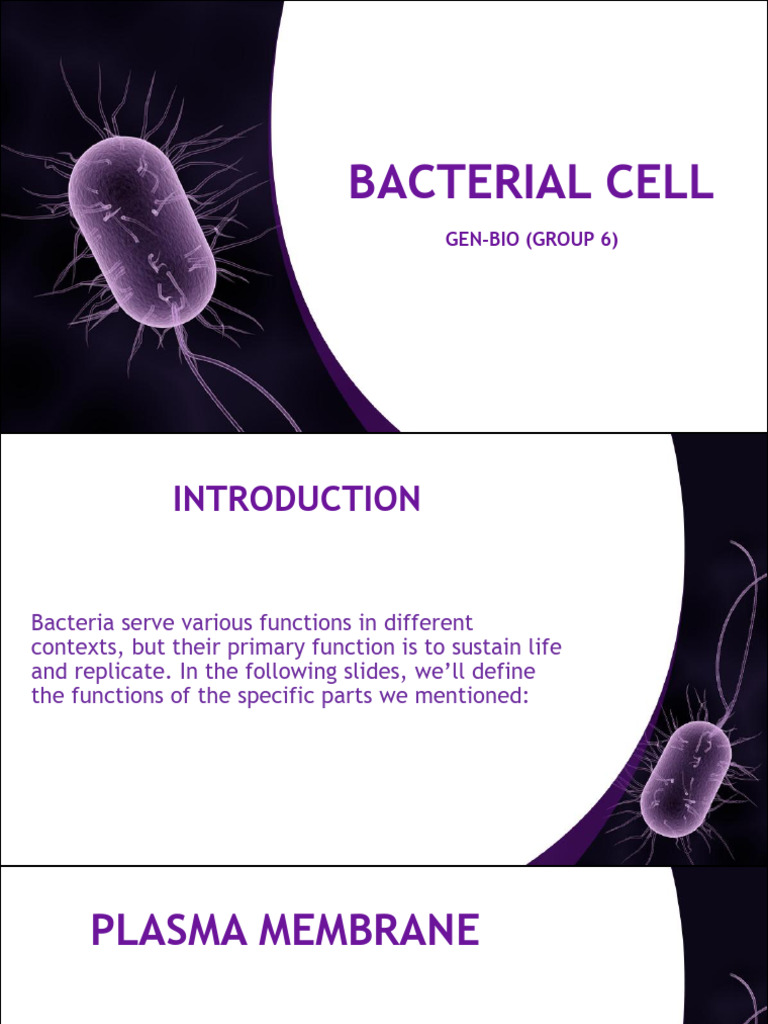 Bacterial Cell Structure Overview | PDF | Science & Mathematics