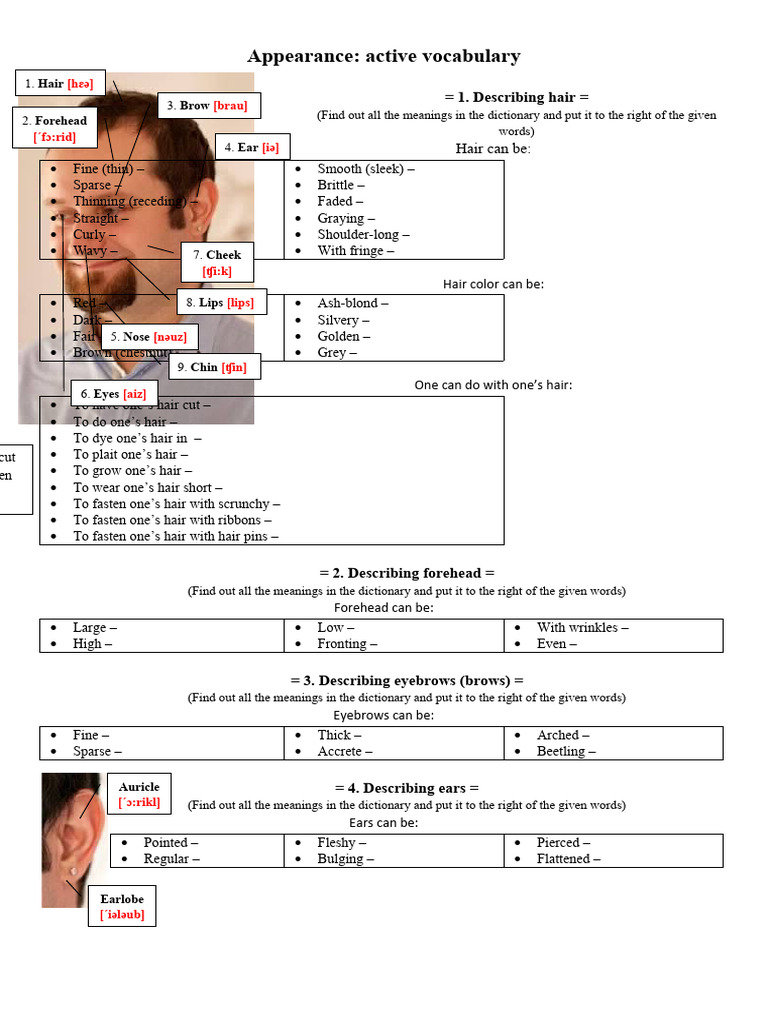 Face Descriptions | PDF | Hair | Eyebrow