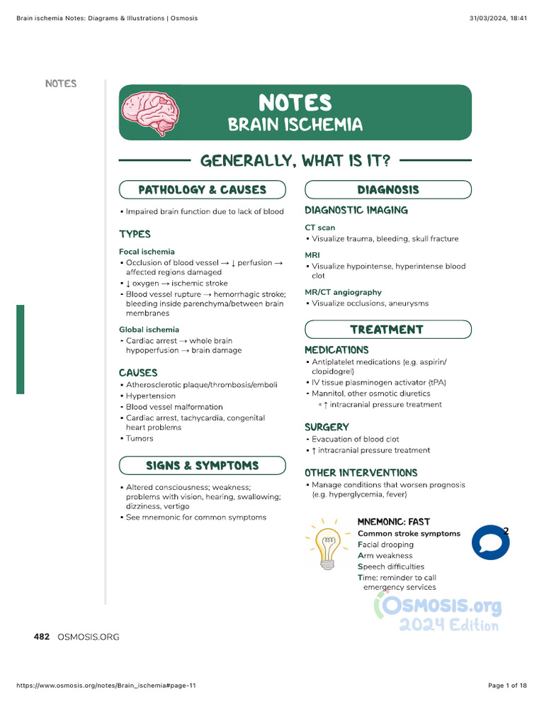 Brain Ischemia Notes: Diagrams & Illustrations - Osmosis | PDF ...