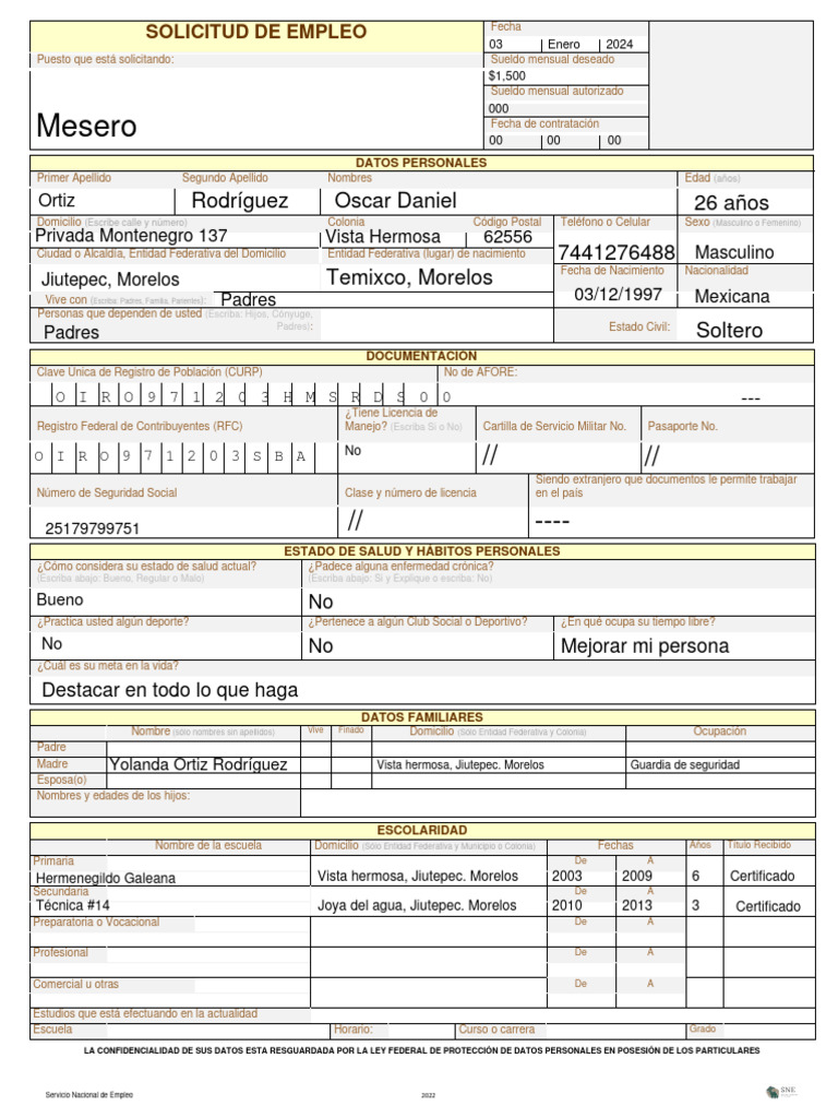 SNE_SOLICITUD_DE_EMPLEO_PLANTILLA_PDF | PDF