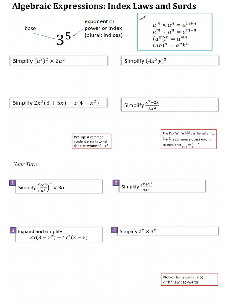 Chapter 1 - Algebraic Expressions (P1) | PDF