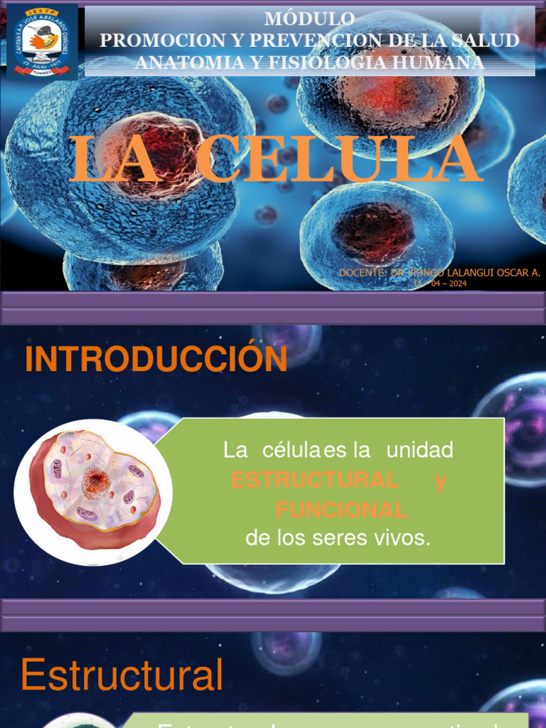 Sesion V La Celula | PDF | Citoplasma | Biología Celular)