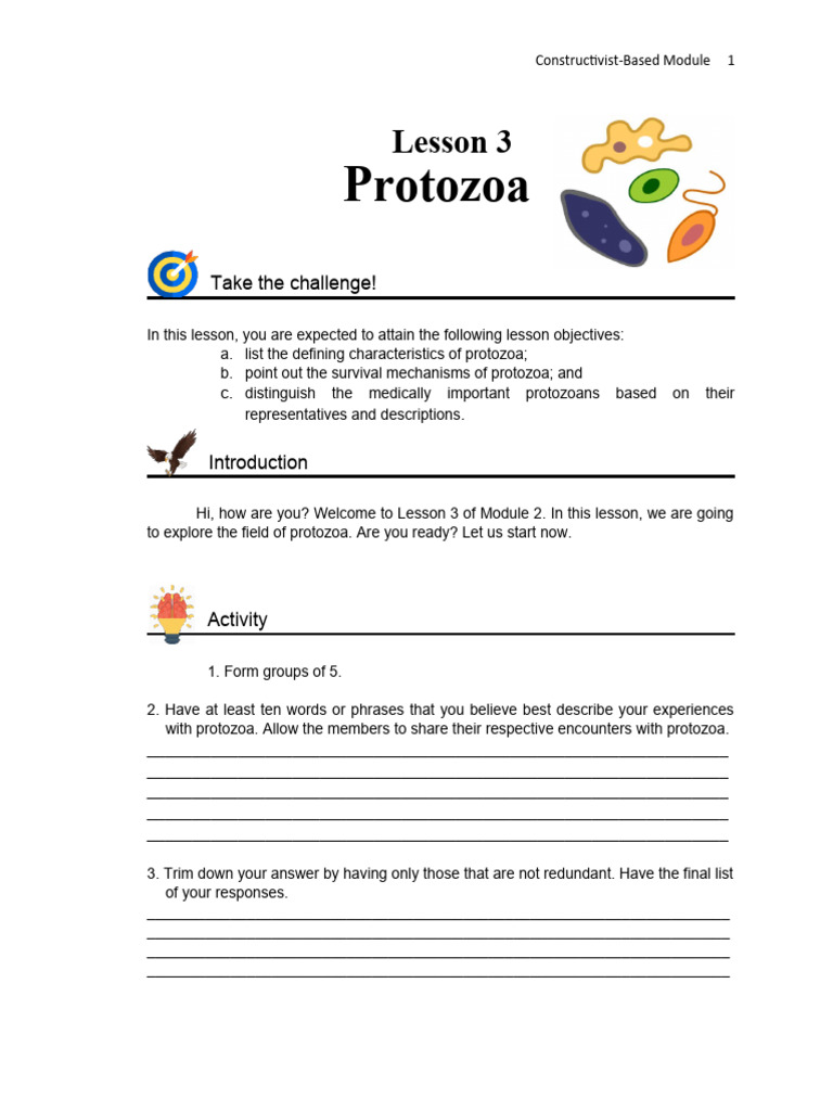 Module 2 Lesson 3 Protozoa | PDF | Protozoa | Organisms