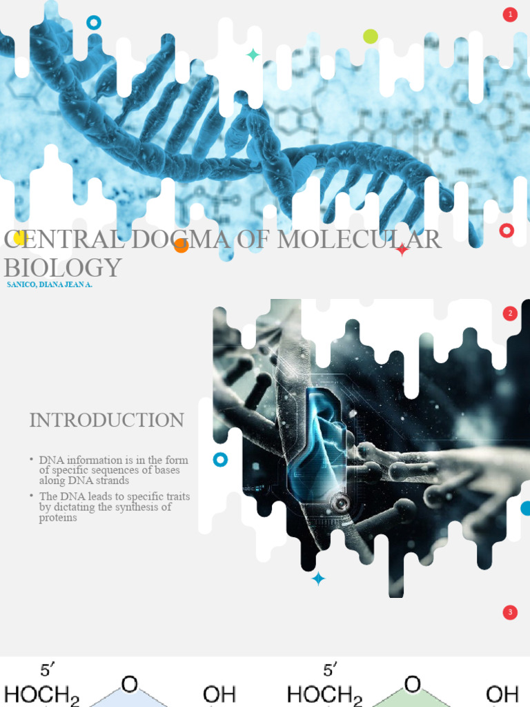 Central Dogma of Molecular Biology | PDF | Rna | Dna