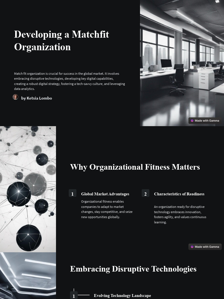 Building a Matchfit Organization | PDF | Analytics | Disruptive Innovation