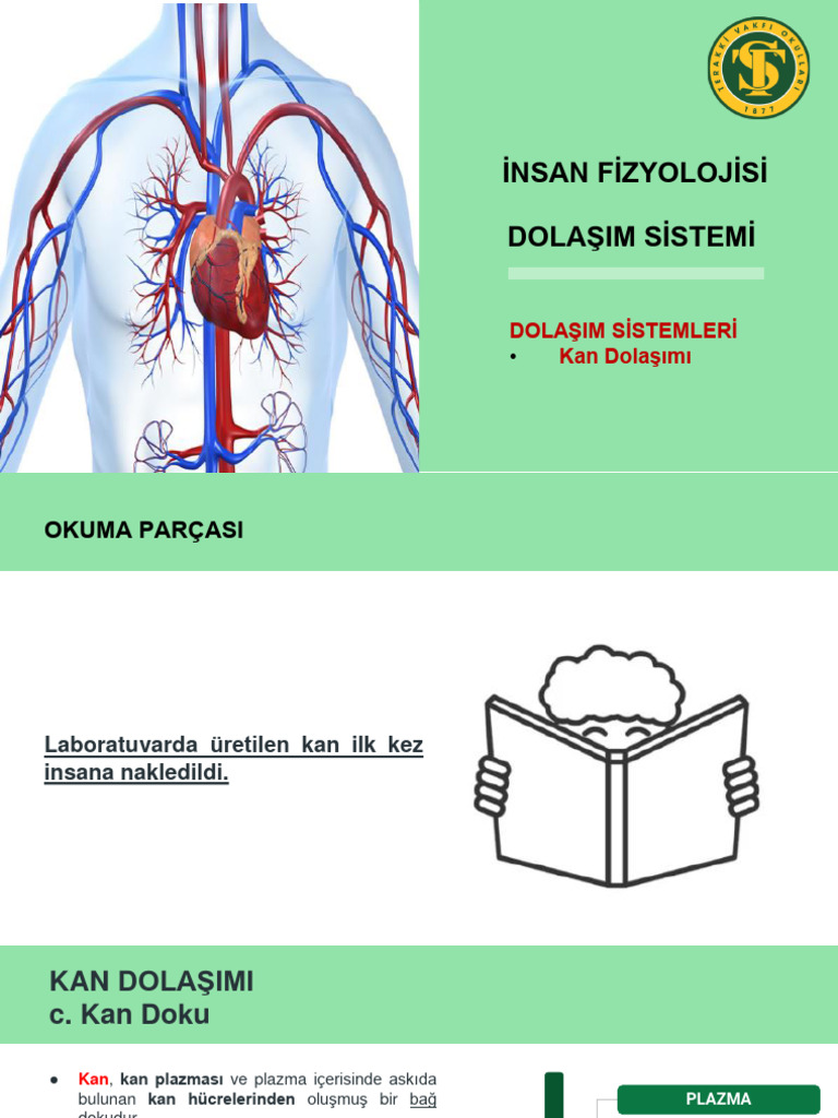 11.BİYO DOLAŞIM SİSTEMİ-2 Kan Doku | PDF