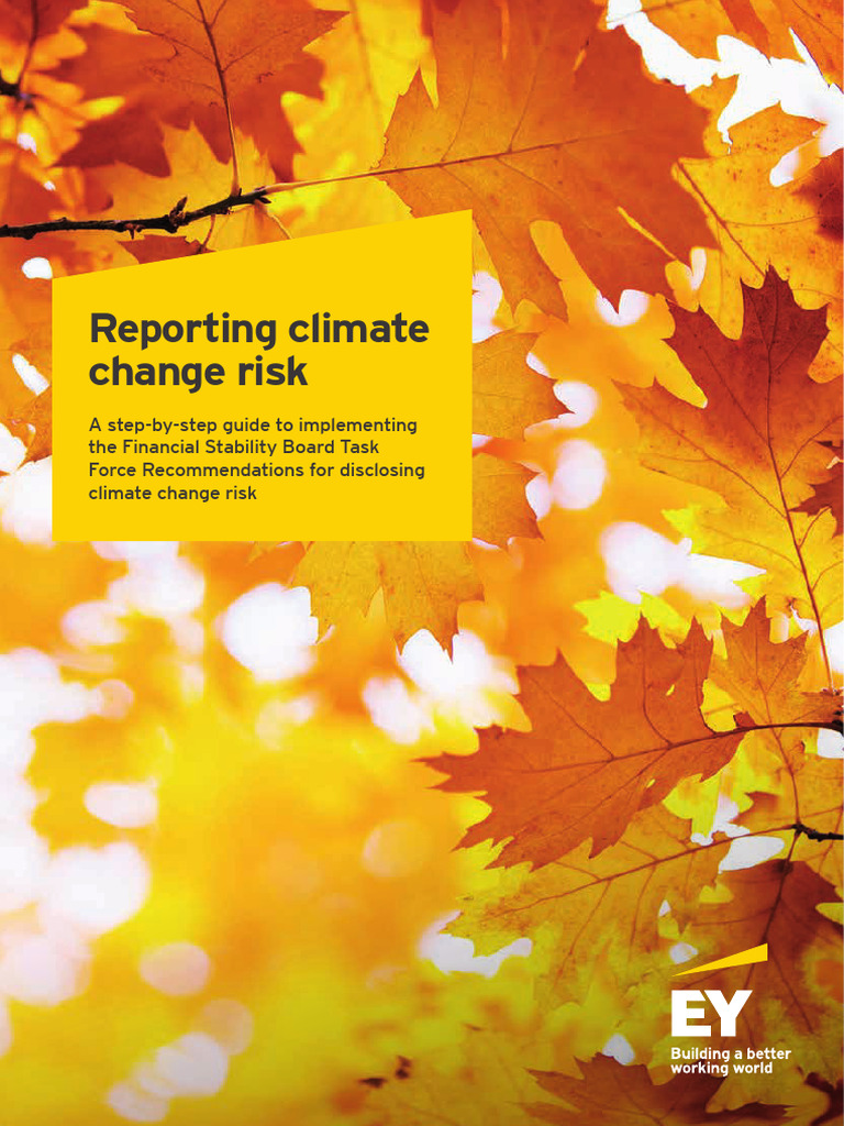 Ey CFD Paper Final | Download Free PDF | Risk | Scenario Planning