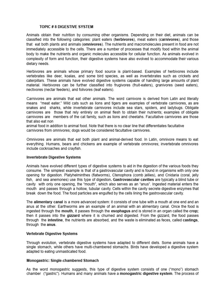 Topic-8-Digestive-System | PDF | Digestion | Stomach