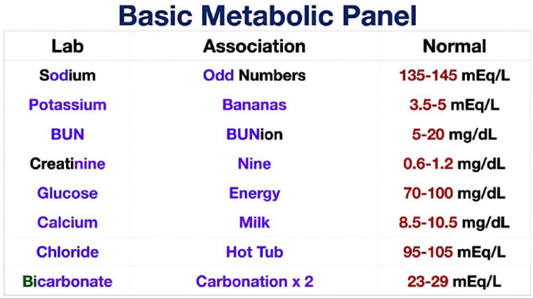 Metabolic Panel | PDF
