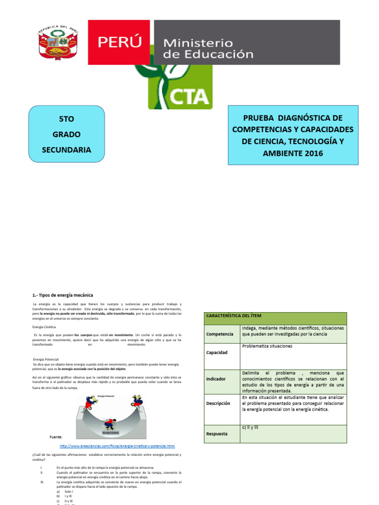 Manual de Corrección Evaluación Diagnóstica CTA - 5° | PDF | Flores ...