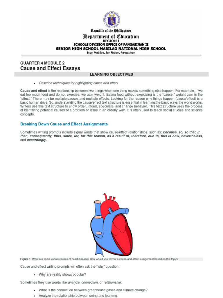 Rws Quarter 4 Module 2 | PDF | Causality | Coral Reef