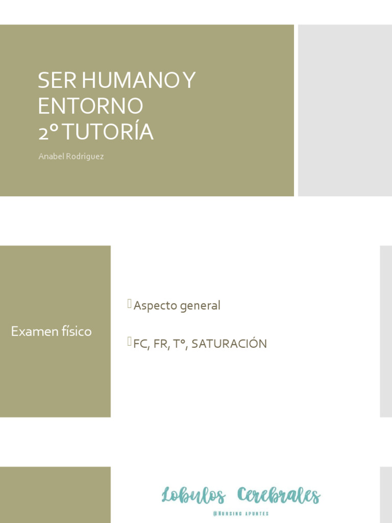 RMP 2° Tutoría | PDF