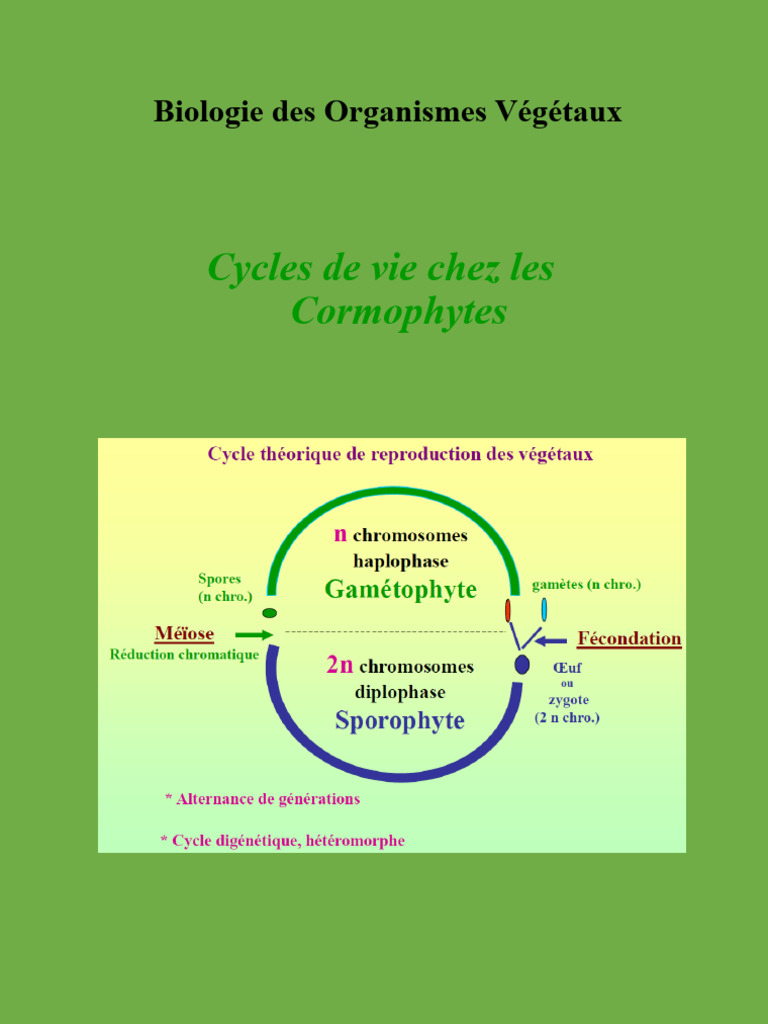 Cycles de vie des Cormophytes | PDF | la reproduction | Botanique