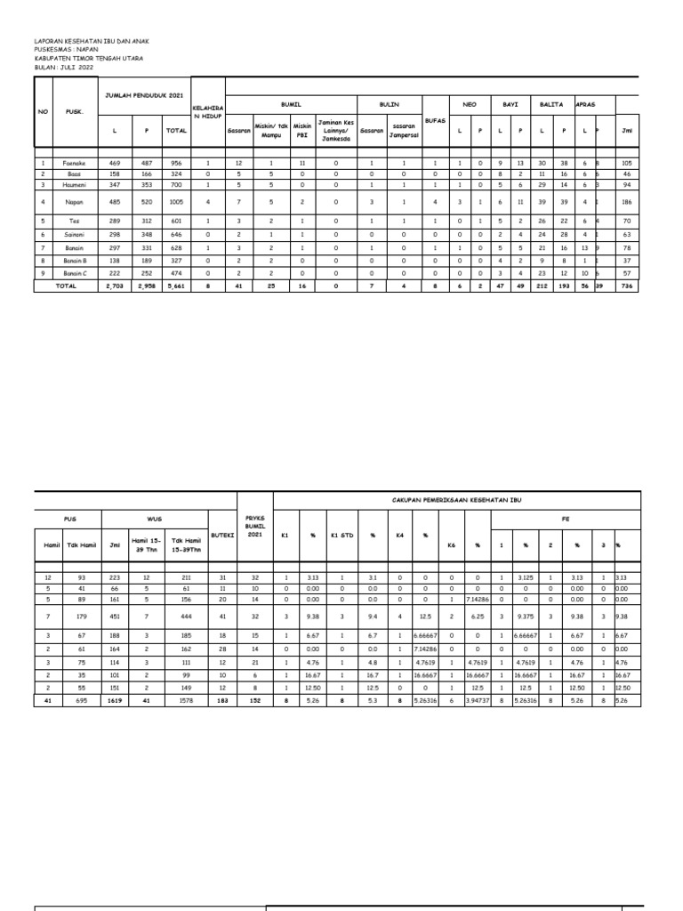 LAP Prog. KIA BLN JULI 2022 PKM Napan | PDF