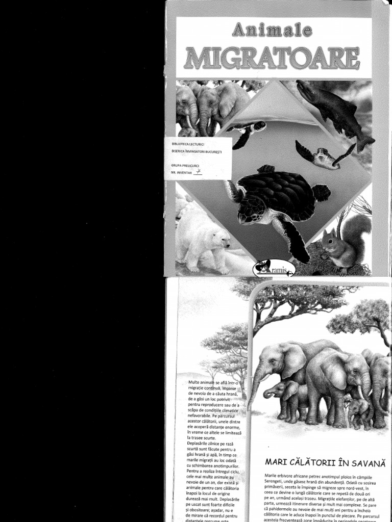 Animale Migratoare | PDF