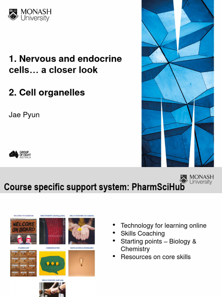 Nervous and Endocrine Systems Overview | PDF | Anatomy | Biology