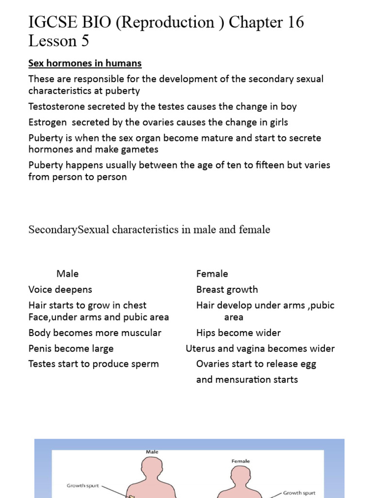 Human Reproduction and Hormonal Changes | PDF | Menstrual Cycle ...