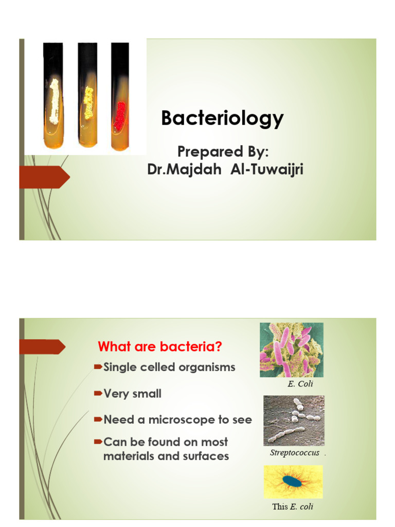 Bacteria Forms Lec1 | PDF | Bacteria | Microscopy