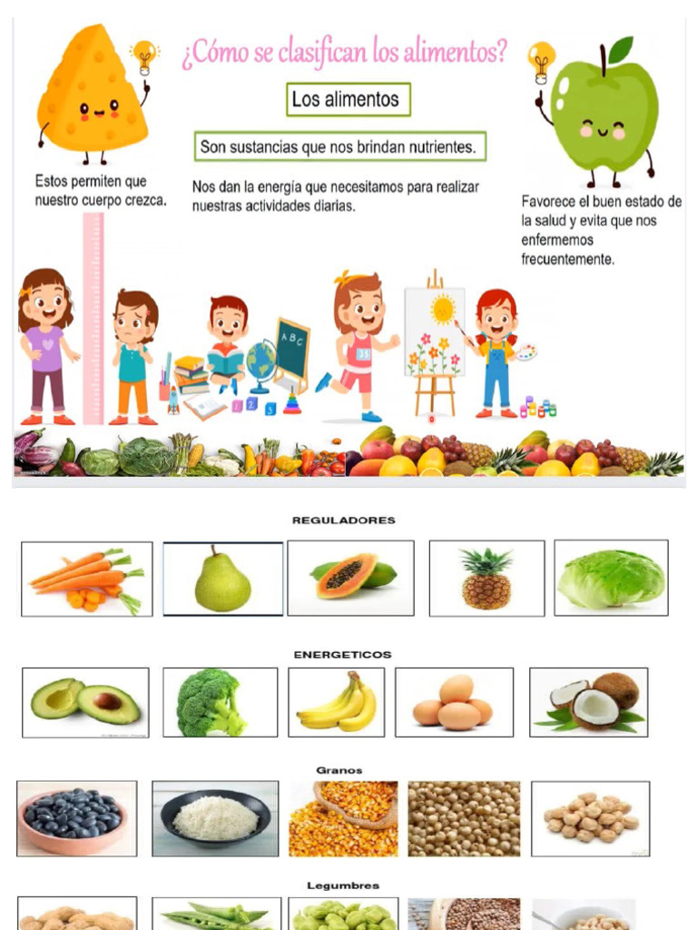 Clasificacion de Los Alimentos | PDF
