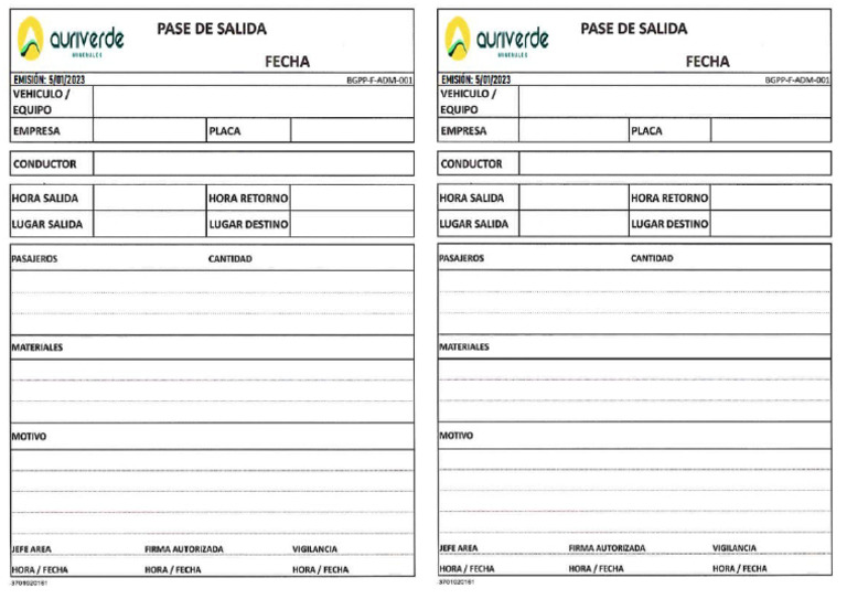 MAV- SSO-F- PASE DE SALIDA | PDF MAV- SSO-F- PASE DE SALIDA | PDF