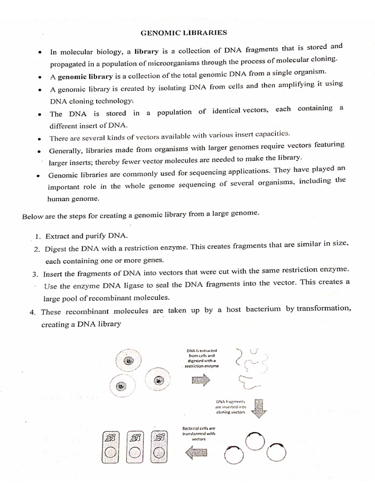 Genomic Libraries | PDF