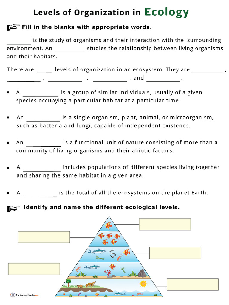 Levels of Organization in Ecology Worksheet | PDF