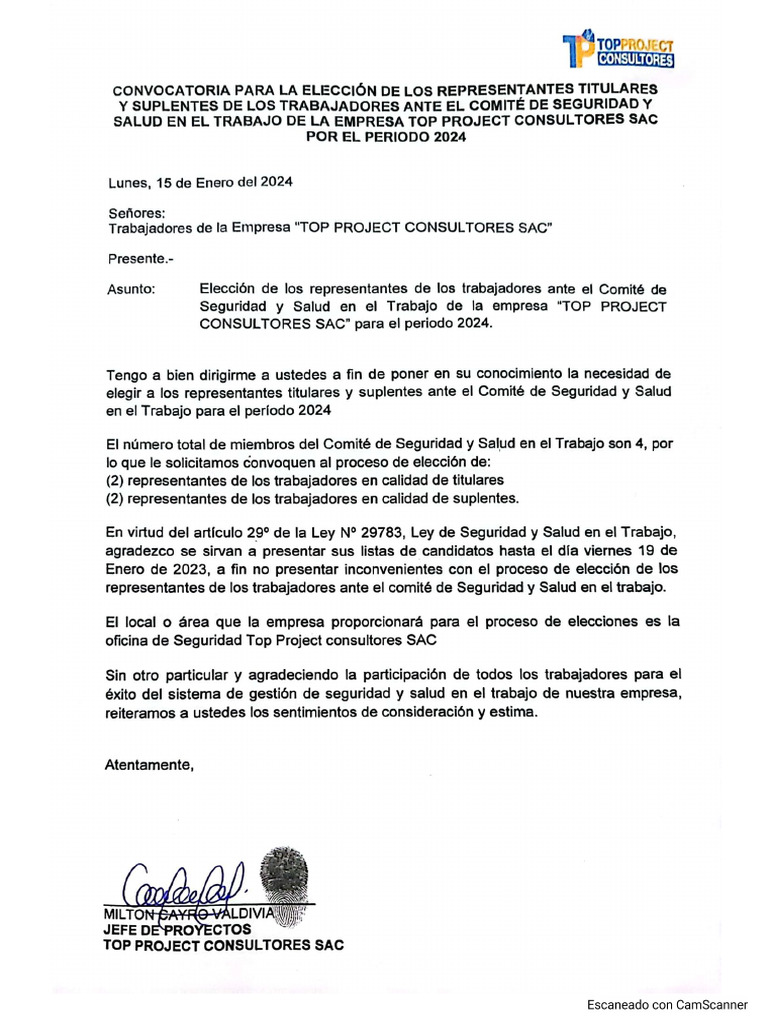 Conformación Del Comité SST | PDF