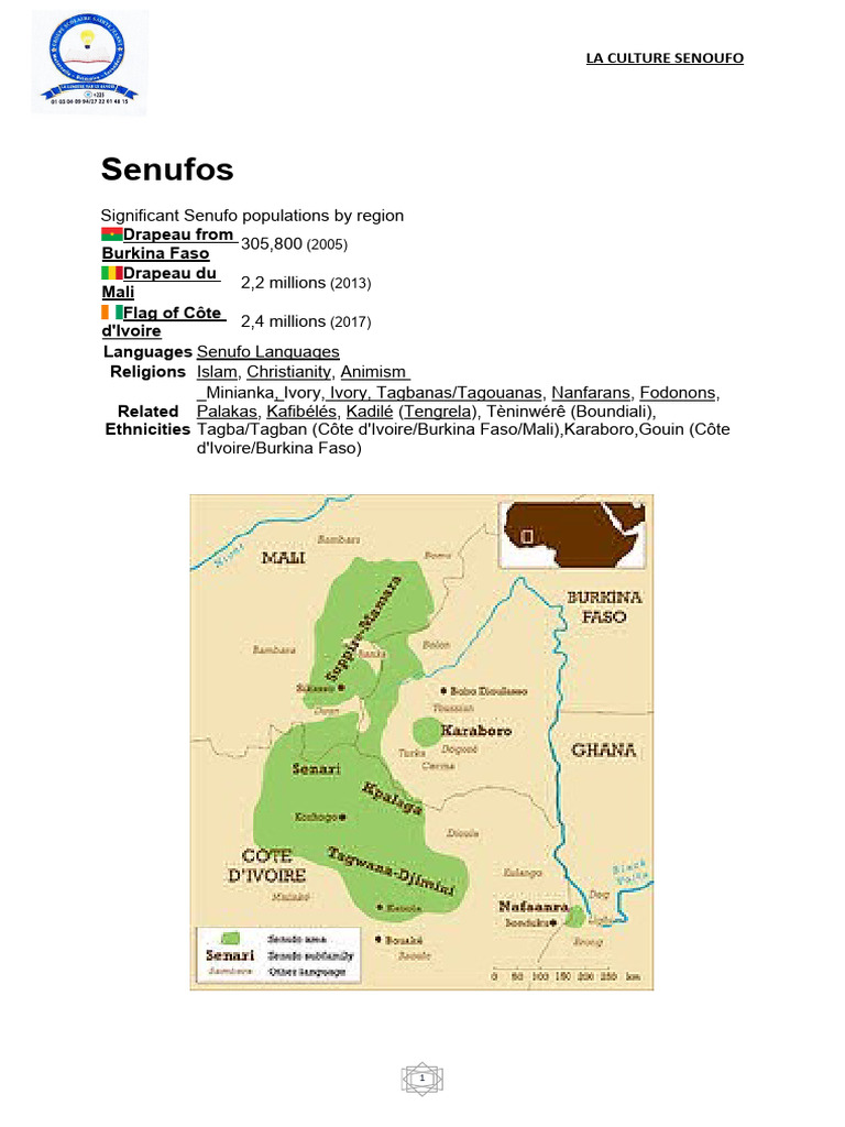 Exposer Sur Les Sénoufos | PDF