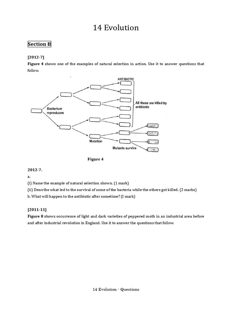 Evolution | PDF | Evolution | Natural Selection Evolution | PDF | Evolution | Natural Selection