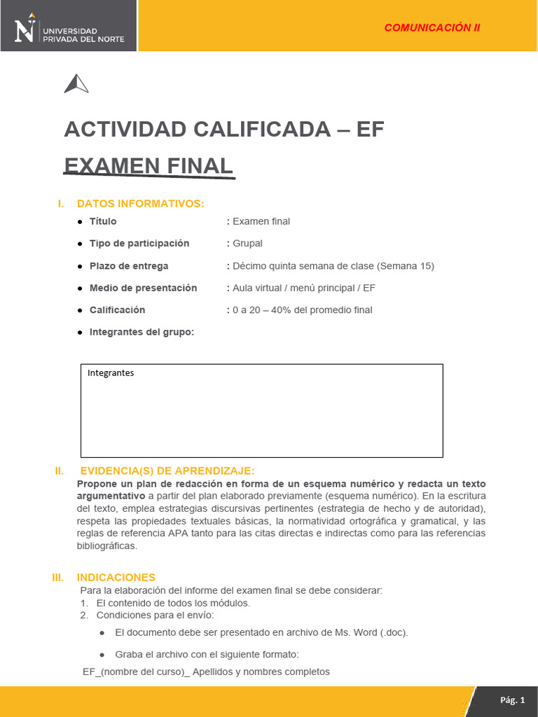 Ef-Ejercicio Modelo-Comu 2 | PDF | Sintaxis | Aborto