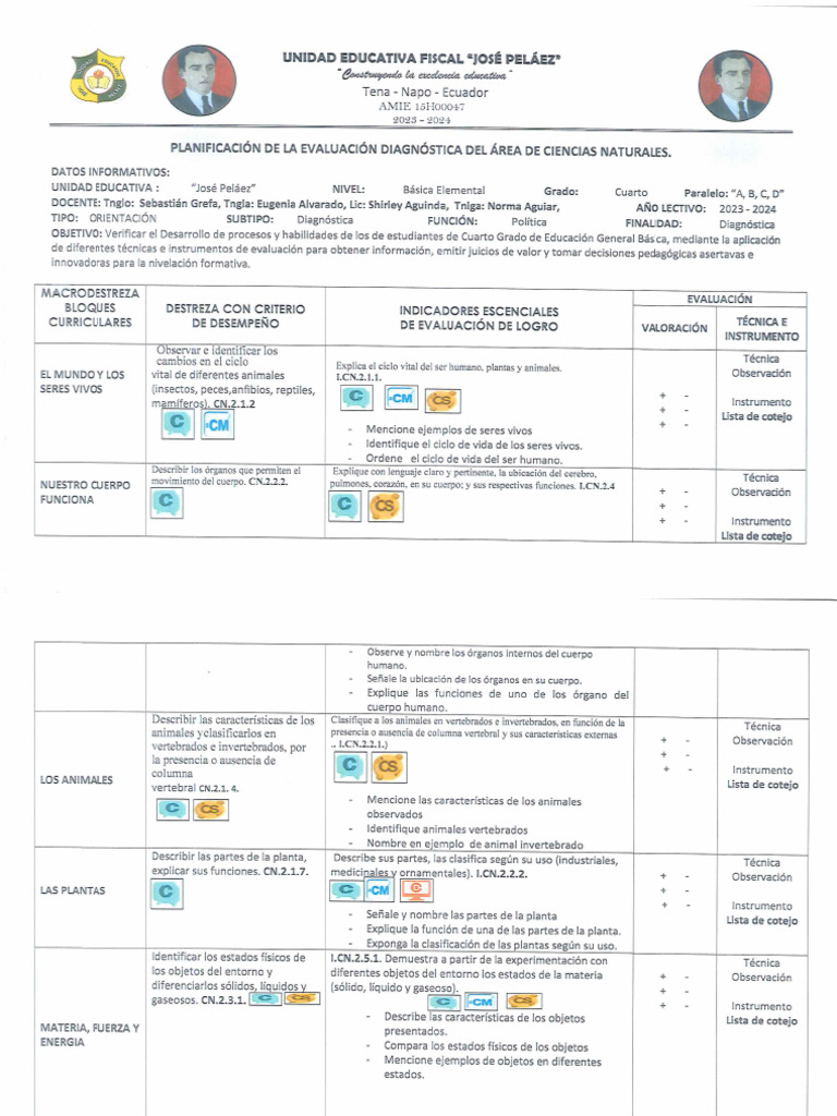 Plan de Eval - Diag. CCNN 4to D-Norma A | PDF
